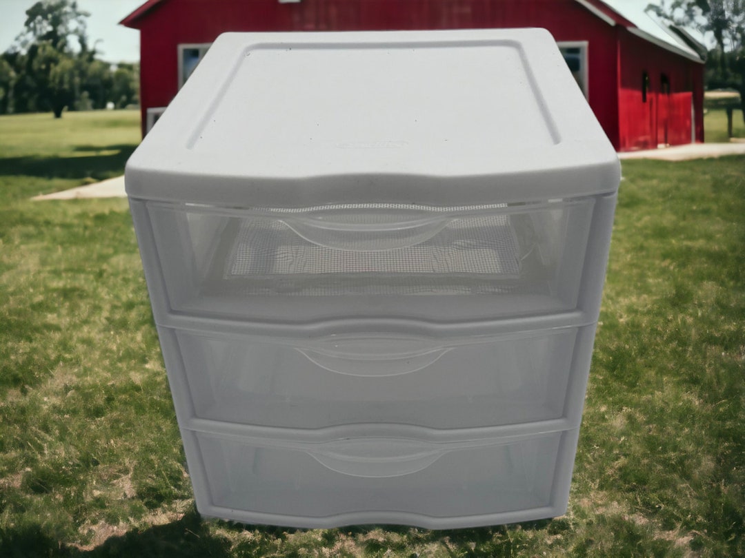 Mini Mealworm Superworm Breeder Box, Tri Unit Setup, Small Worm Keeper ...