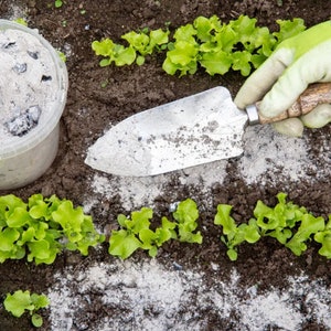 Organic Wood Ash Soap Making Gardening 1 Lb, Natural Ingredient ...