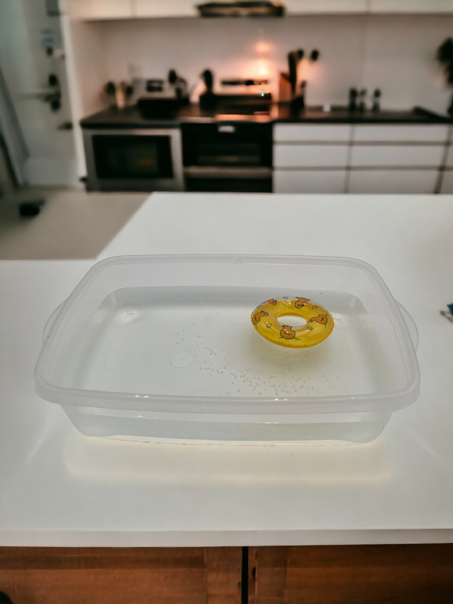 Bearded Dragon Pool Floaties Set, Dragon Shaped Rafts, Reptile Pool ...