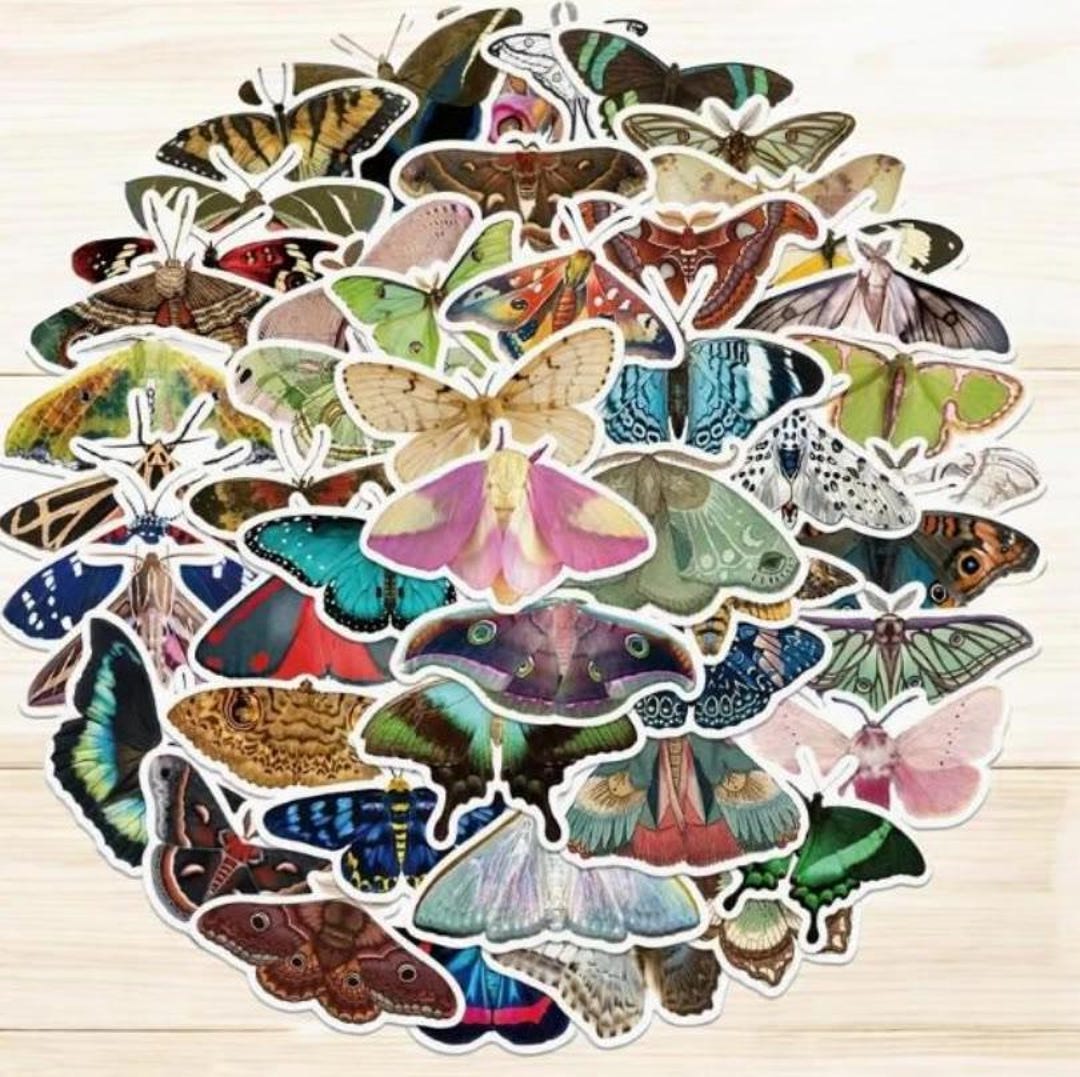 Moth Aesthetic Stickers Set, Nature Lover Decor, Moth Decals, Laptop ...