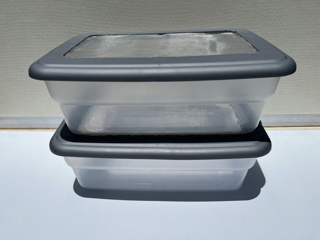 Mealworm/superworm Breeder Box or Holding Box (medium Size) - Etsy