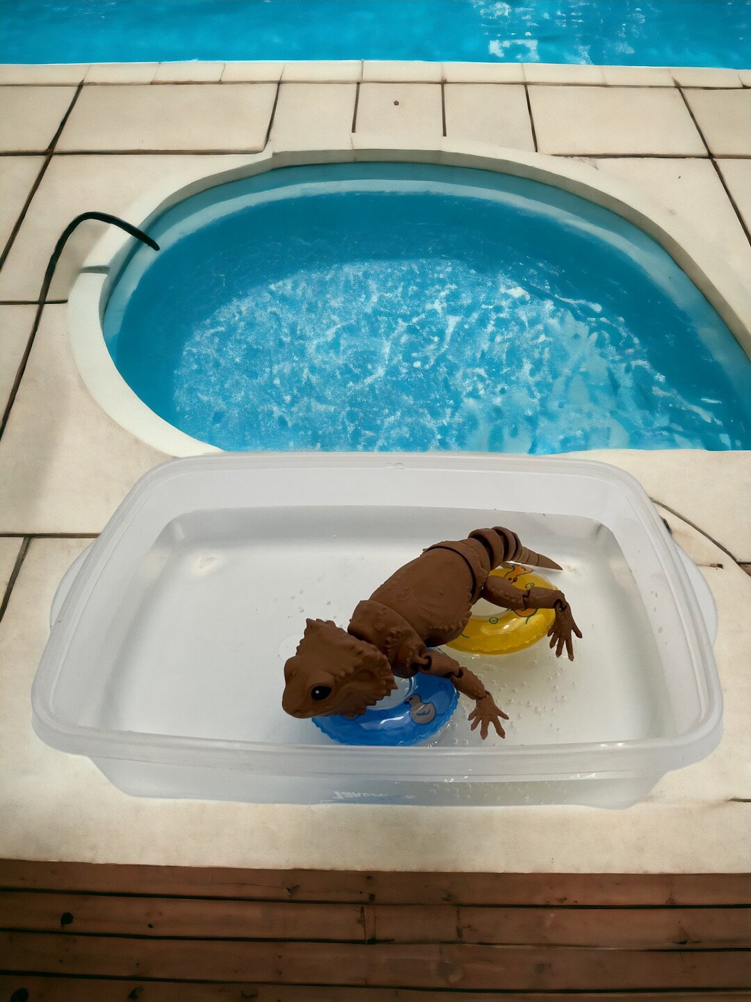 Bearded Dragon Pool Floaties Set, Dragon Shaped Rafts, Reptile Pool ...