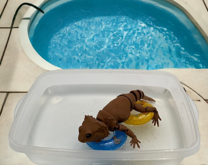 Bearded Dragon Pool Floaties Set, Dragon Shaped Rafts, Reptile Pool ...