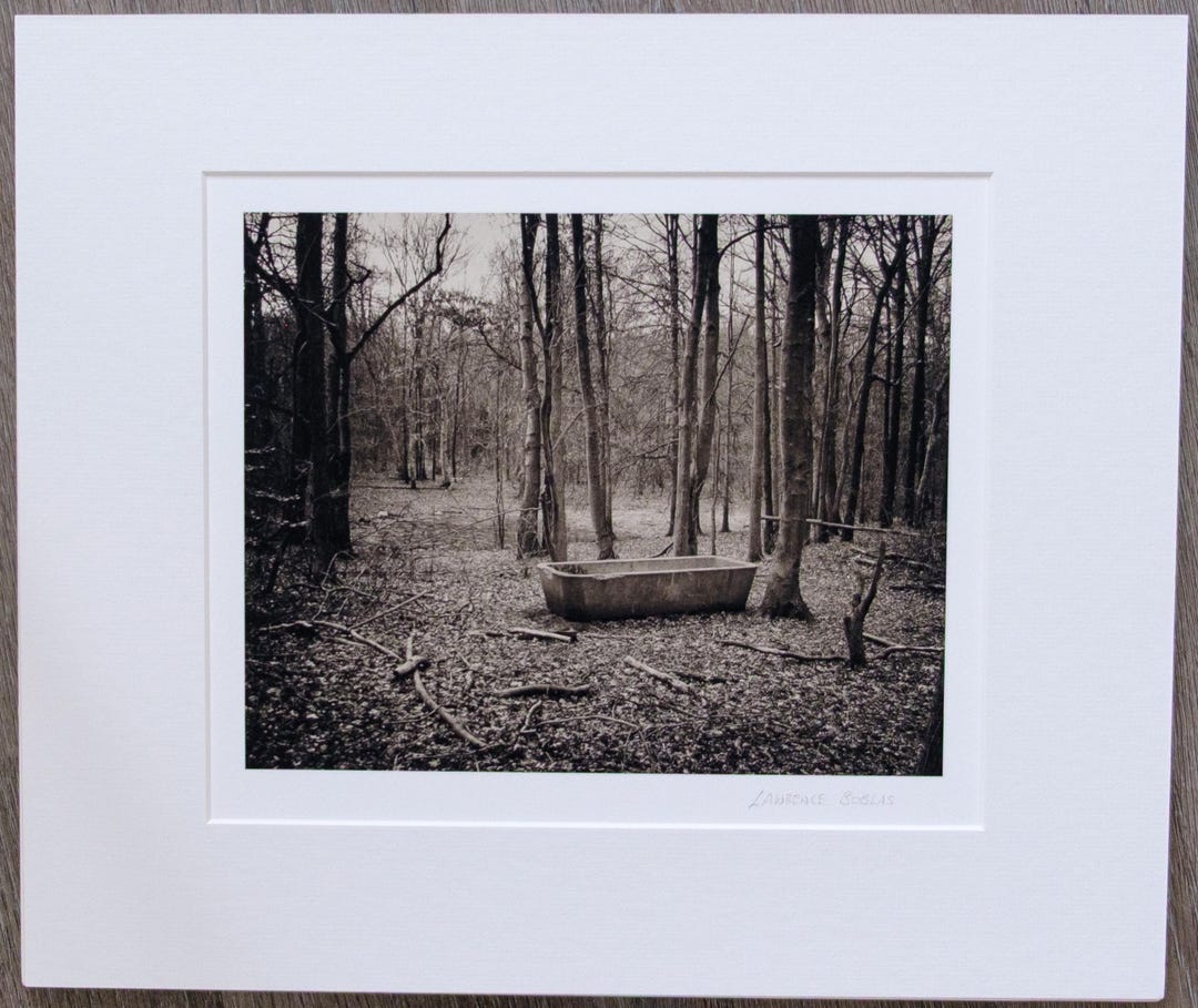 Forgotten Woods - Etsy
