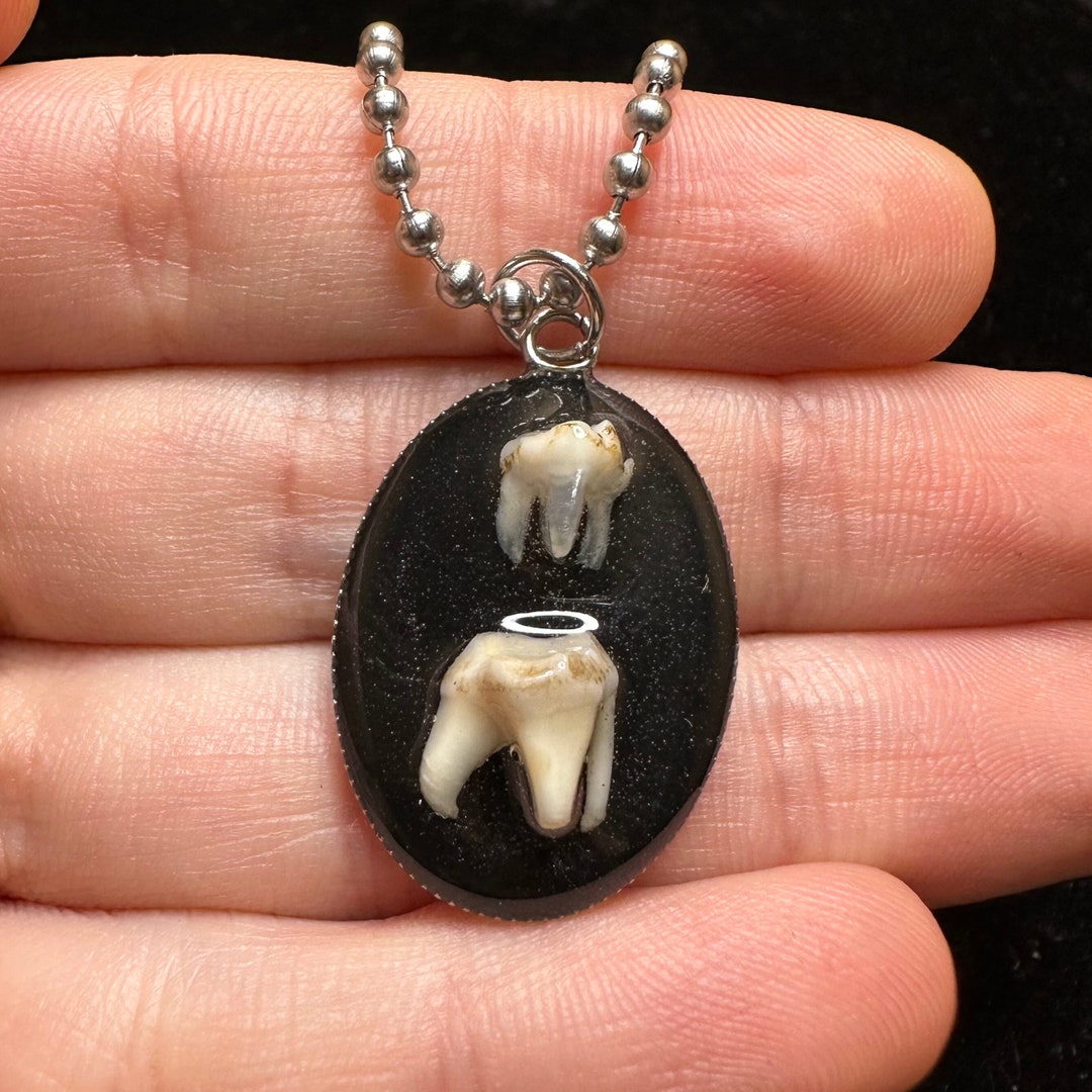 Raccoon & Groundhog Tooth Pendant Real Animal Tooth Jewelry Necklace ...