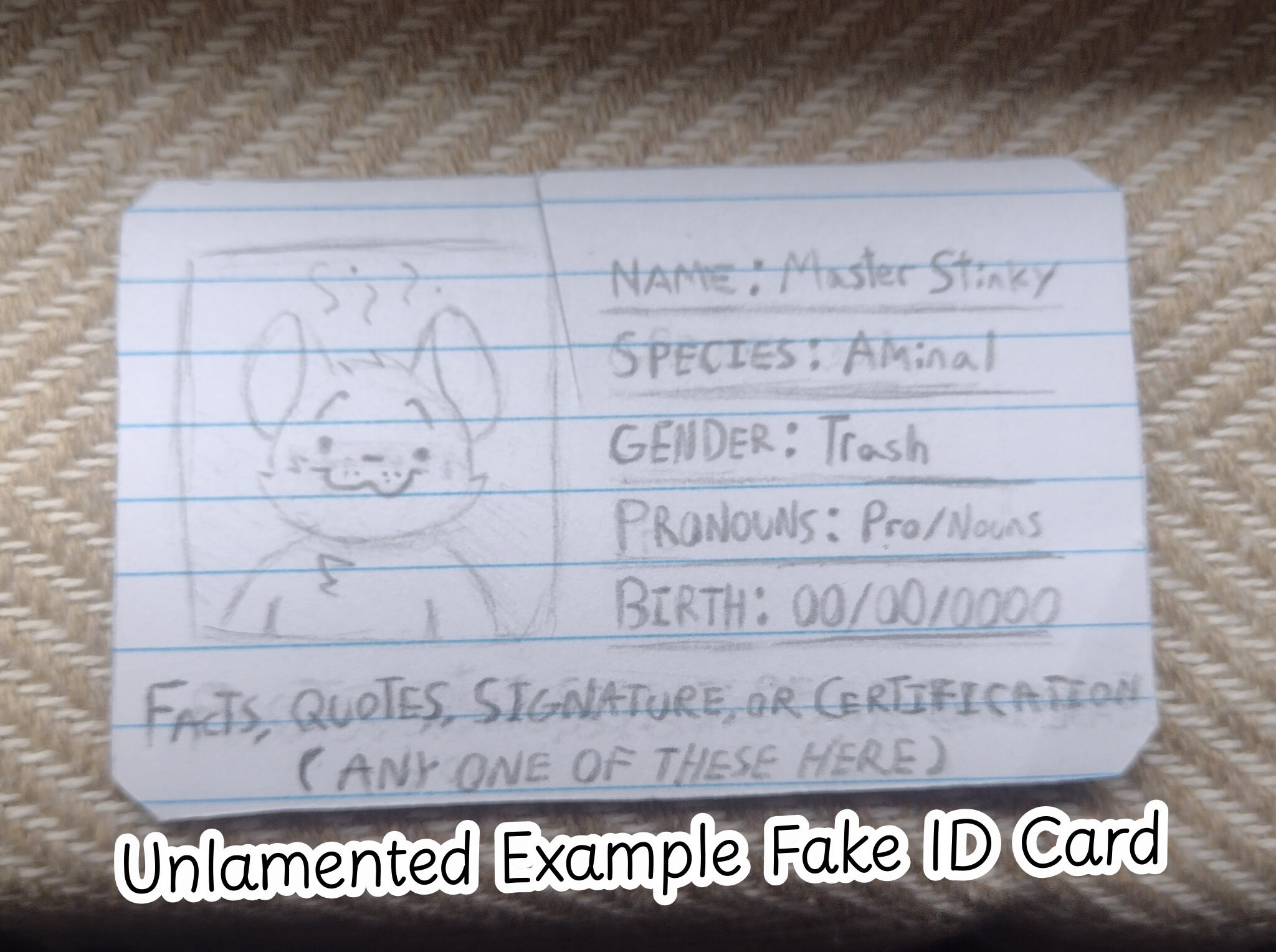 READ DESC Custom Character/fursona Silly Fake ID Cards - Etsy