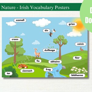 Irish Vocabulary Classroom Posters- Aesthetic Nature Poster as Gaeilge ...