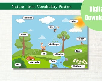 Irish Vocabulary Classroom Posters- Aesthetic Posters for Basic Words ...