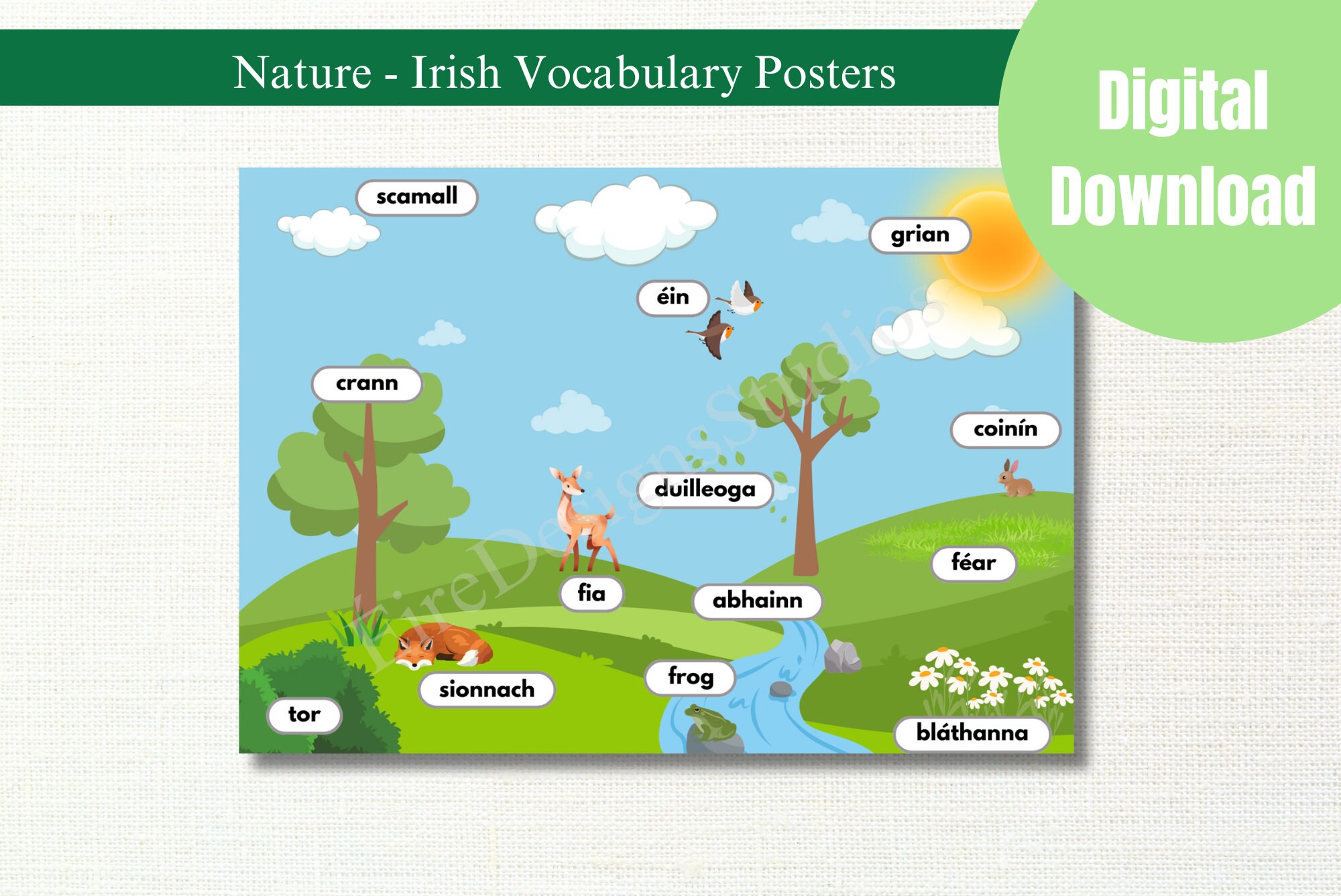 Irish Vocabulary Classroom Posters- Aesthetic Nature Poster as Gaeilge ...