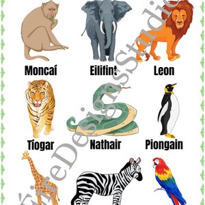 Irish Vocabulary Classroom Posters- Aesthetic Posters for Basic Words ...