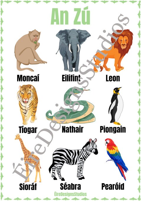 Irish Vocabulary Classroom Posters- Aesthetic Posters for Basic Words ...