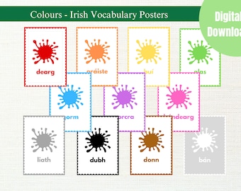 Irish Vocabulary Classroom Posters- Aesthetic Posters for Basic Words ...
