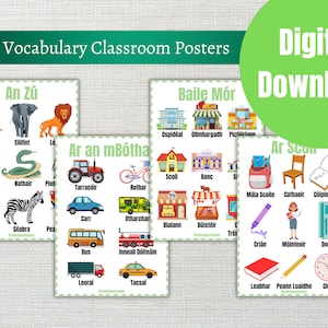 Irish Vocabulary Classroom Posters- Aesthetic Posters for Basic Words ...