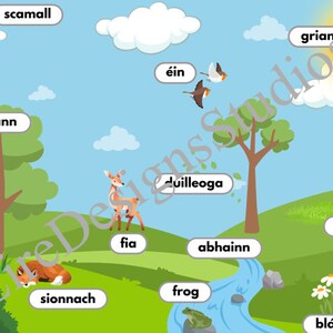 Irish Vocabulary Classroom Posters- Aesthetic Nature Poster as Gaeilge ...