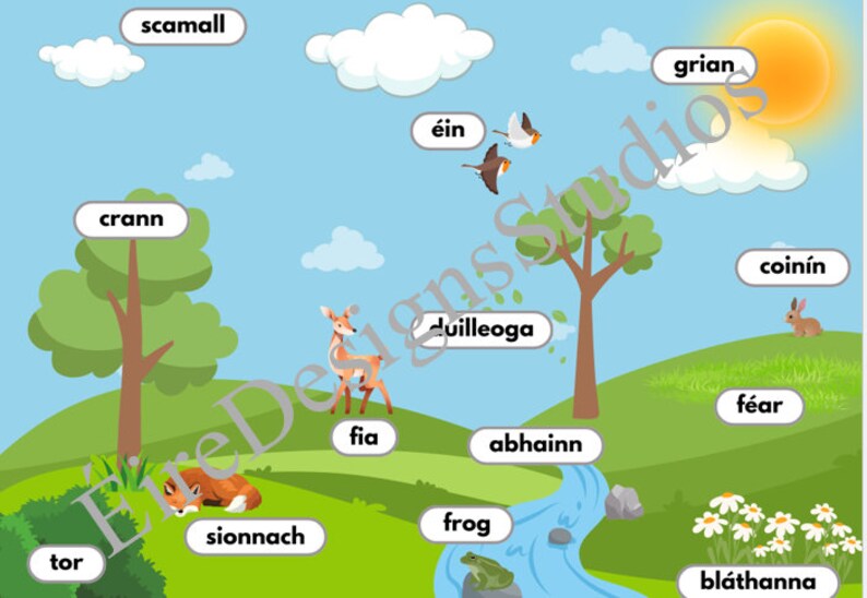 Irish Vocabulary Classroom Posters- Aesthetic Nature Poster as Gaeilge ...