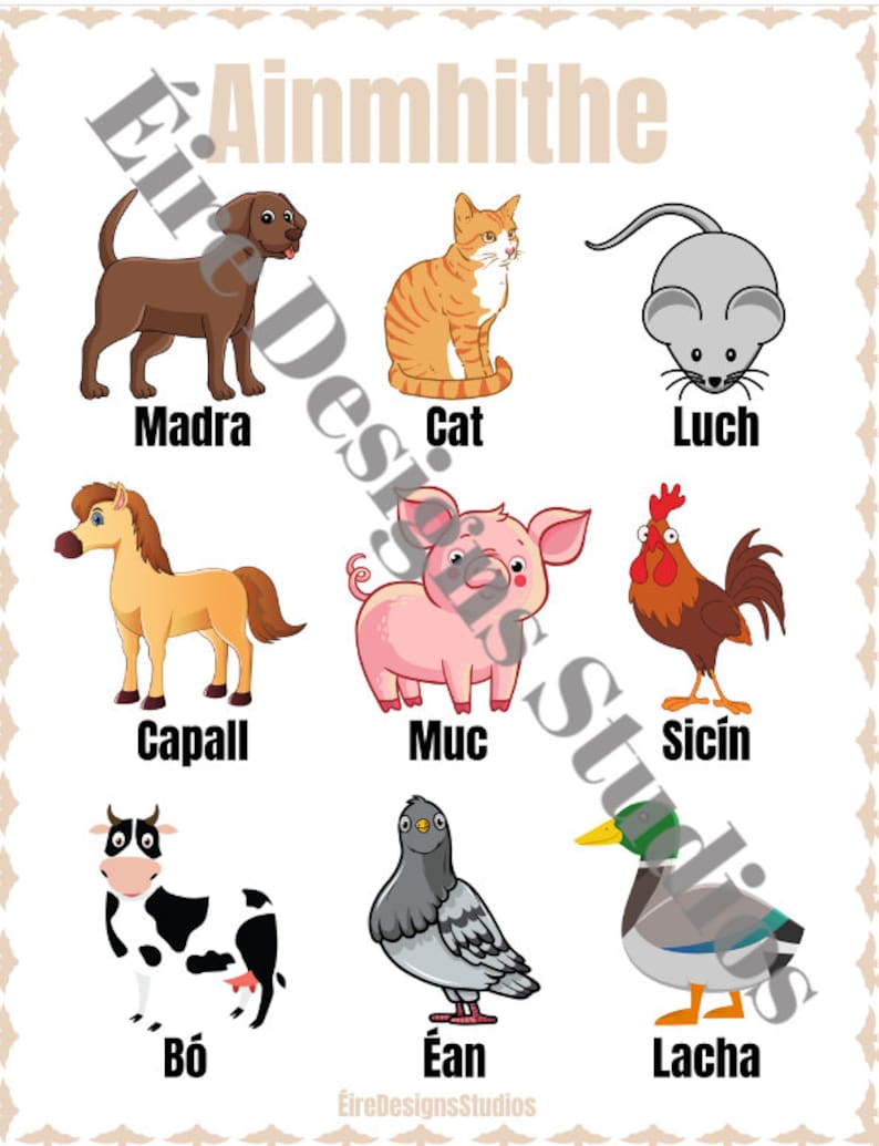 Irish Vocabulary Classroom Posters- Aesthetic Posters for Basic Words ...