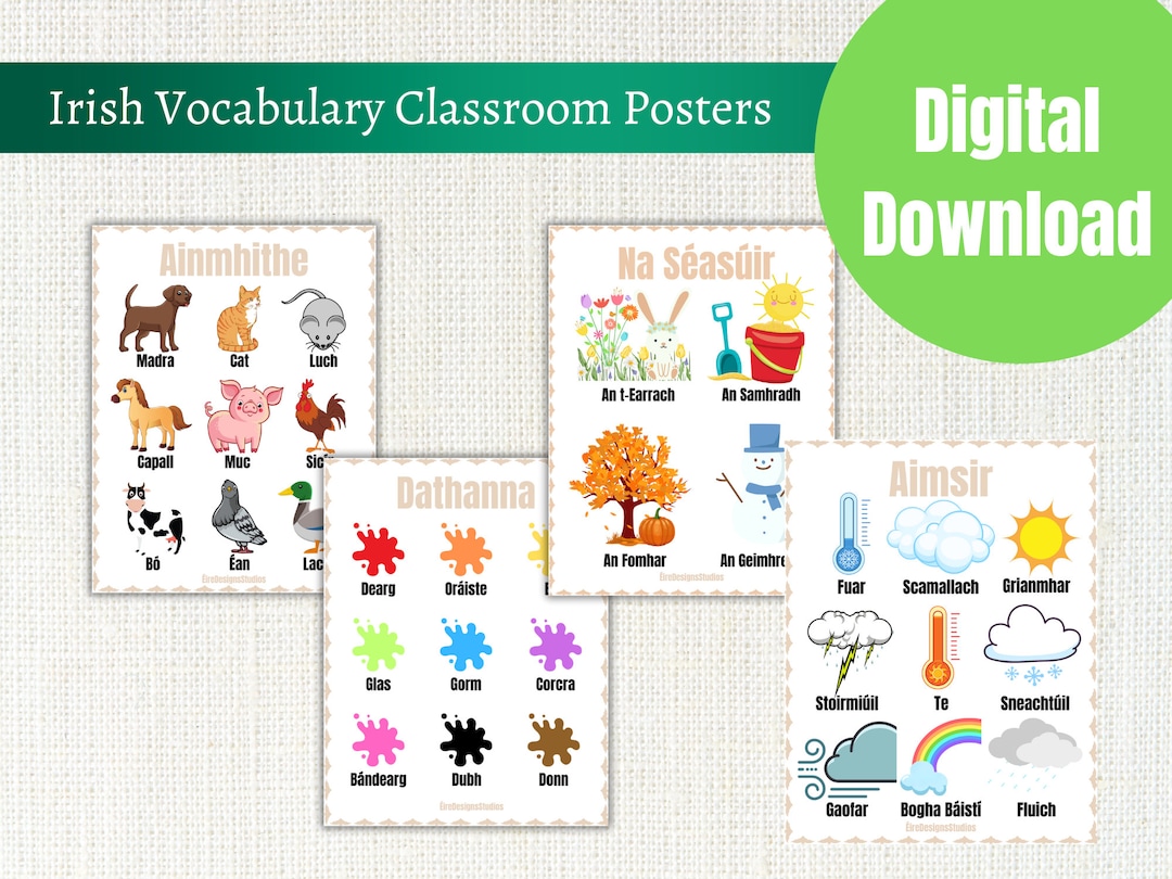 Irish Vocabulary Classroom Posters- Aesthetic Posters for Basic Words ...