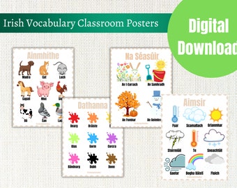 Irish Vocabulary Classroom Posters- Aesthetic Posters for Basic Words ...