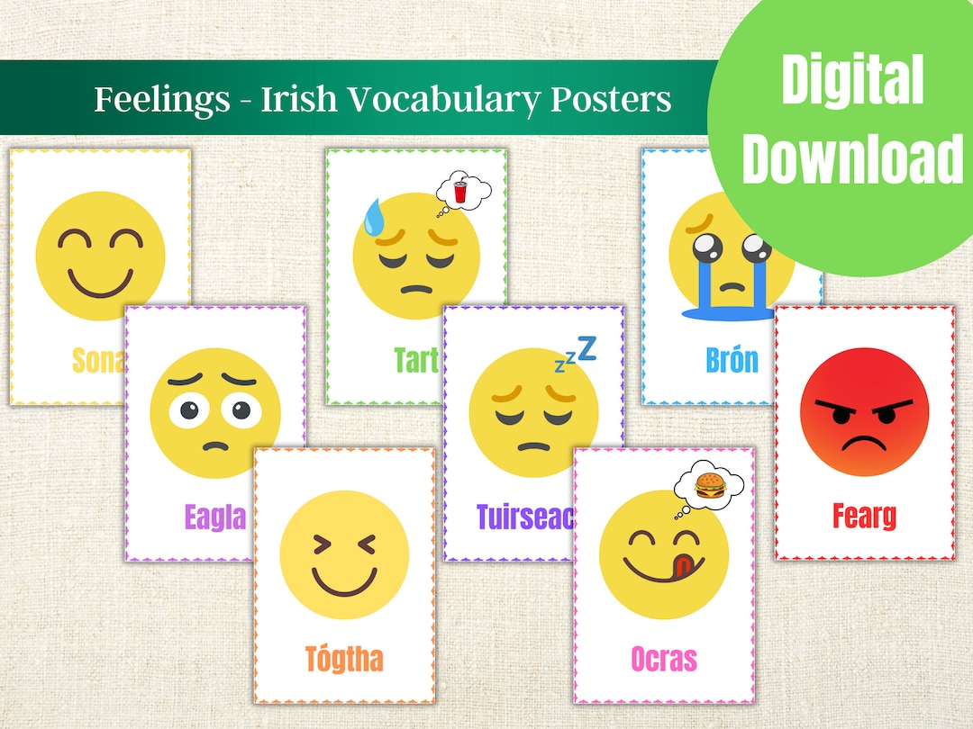 Irish Vocabulary Classroom Posters- Aesthetic Posters for Basic ...