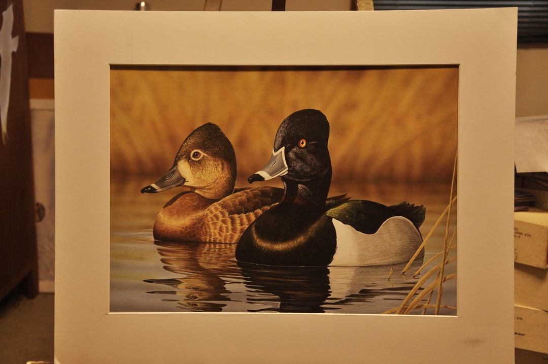 2002 Winning Ohio Wetlands Habitat Stamp Artwork Ringneck Ducks ...