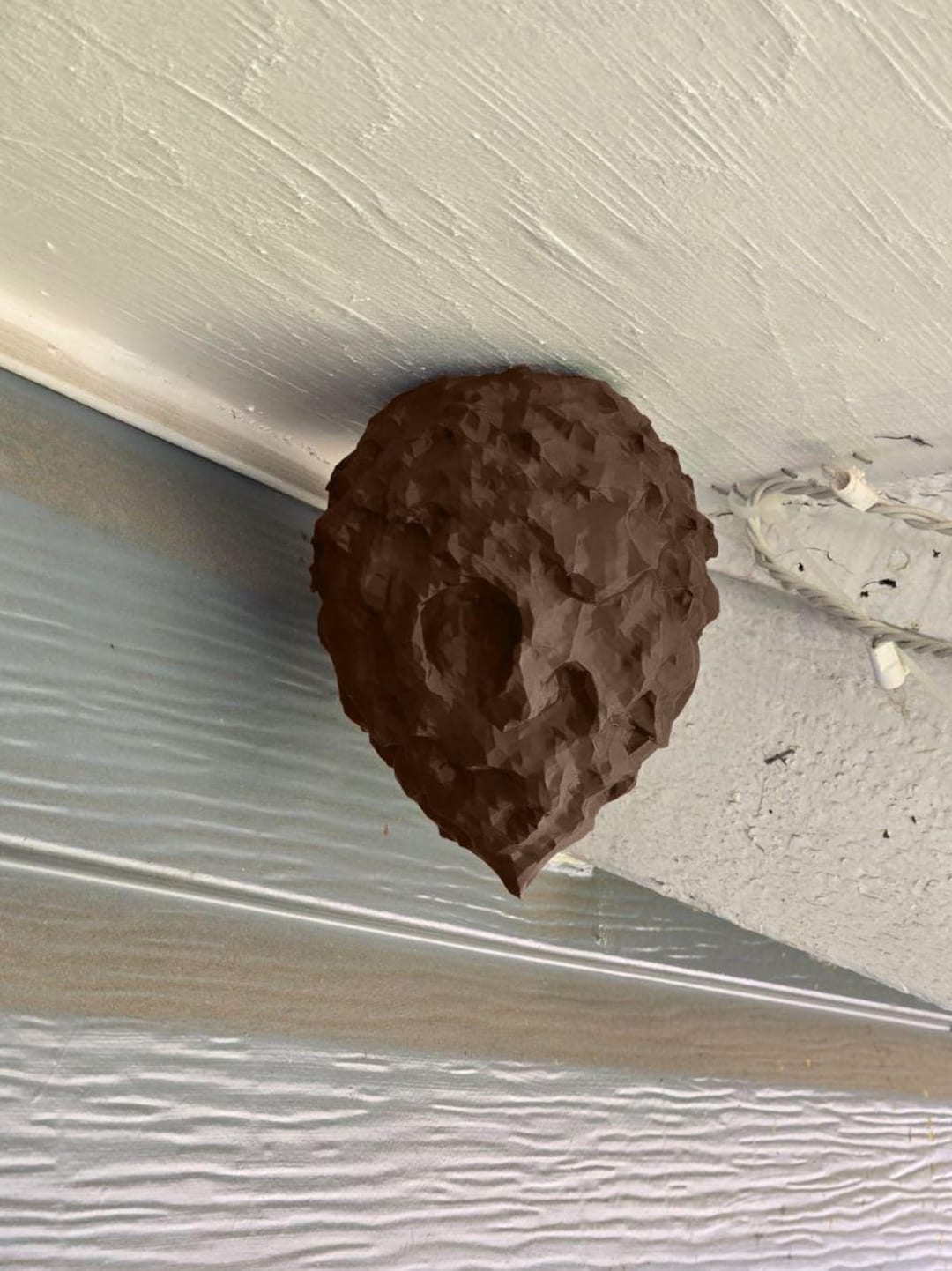 Realistic Wasp Nest Decoy for Outdoor Wasp Control – 3D Printed PLA ...