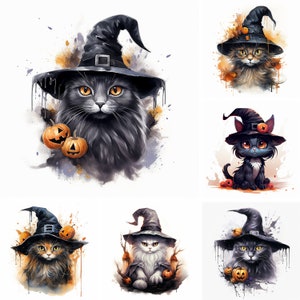 50 Cute Halloween Cats High Quality PNG Images, Halloween Kitten ...