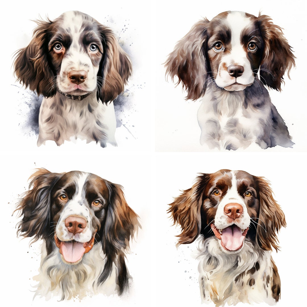 20 English Springer Spaniel Dog and Puppy Watercolor Clipart PNG Images ...