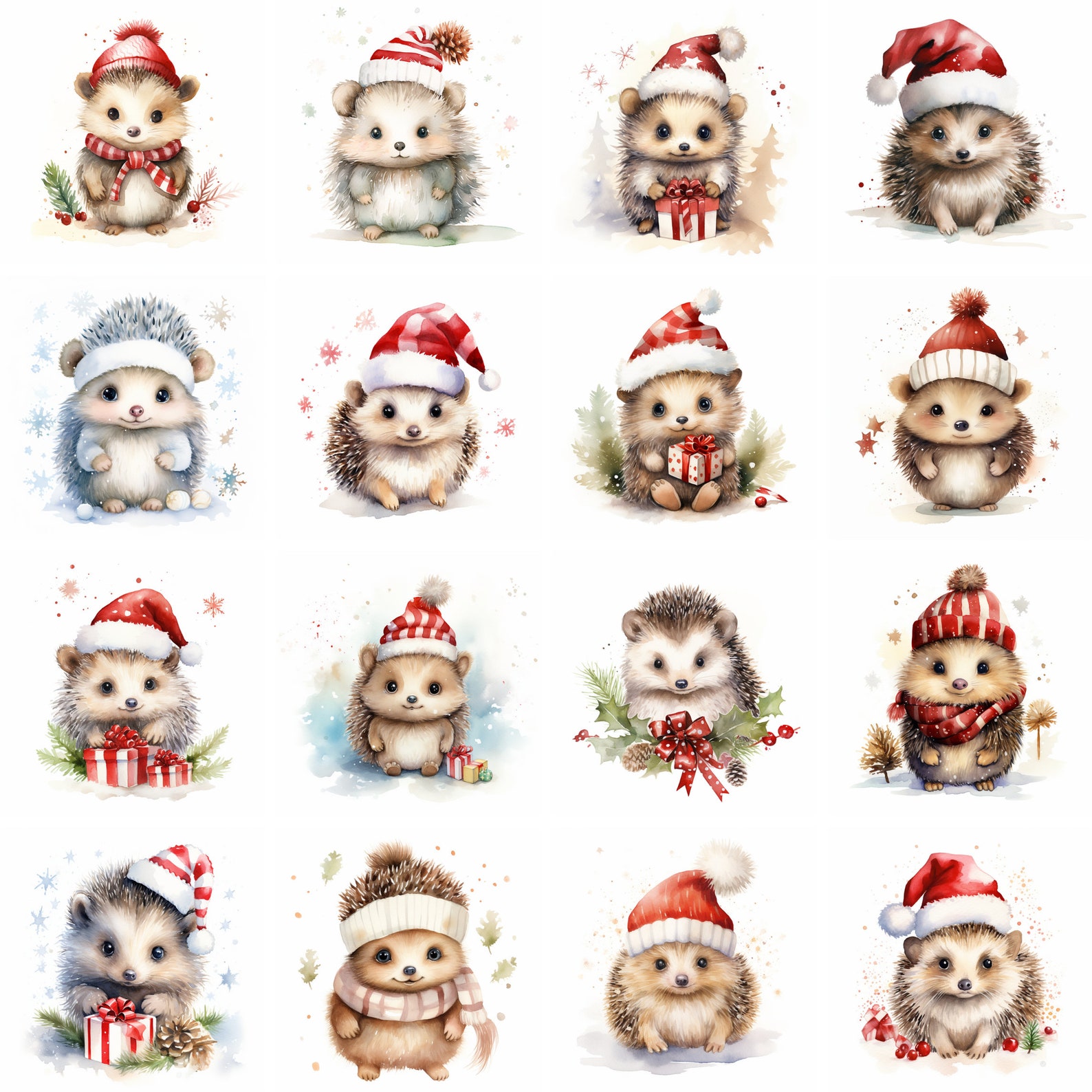 20 Hedgehogs Watercolor Christmas Clipart PNG Images, Cute Hedgehog ...