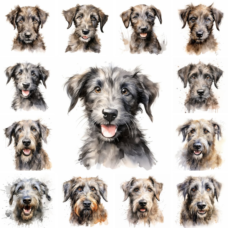 20 Irish Wolfhound Dog and Puppy Watercolor Clipart PNG Images ...