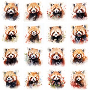 30 Red Panda Clipart Bundle, Cartoon Panda, Cute Red Panda, Scrapbook ...
