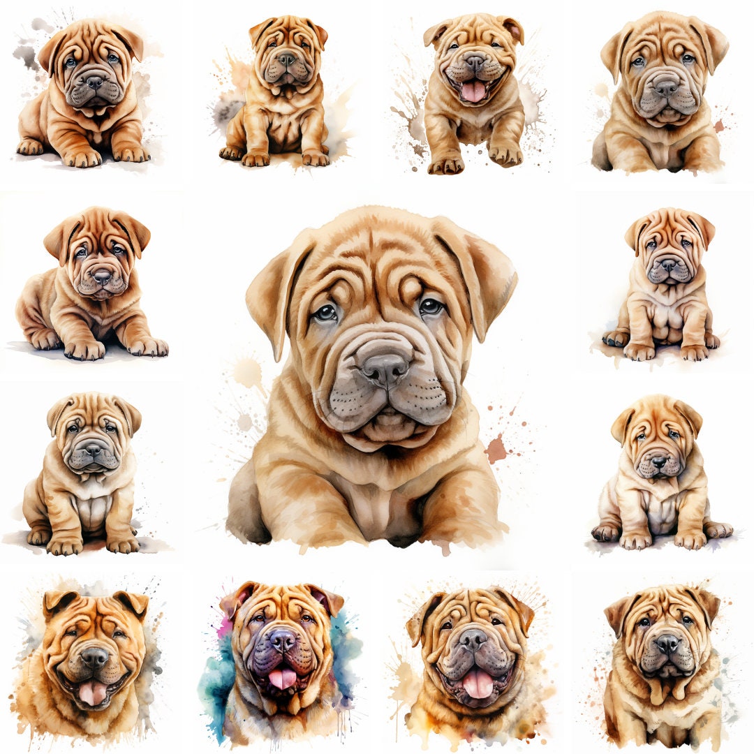 20 Shar-pei Dog and Puppy Watercolor Clipart PNG Images, Shar-pei Puppy ...