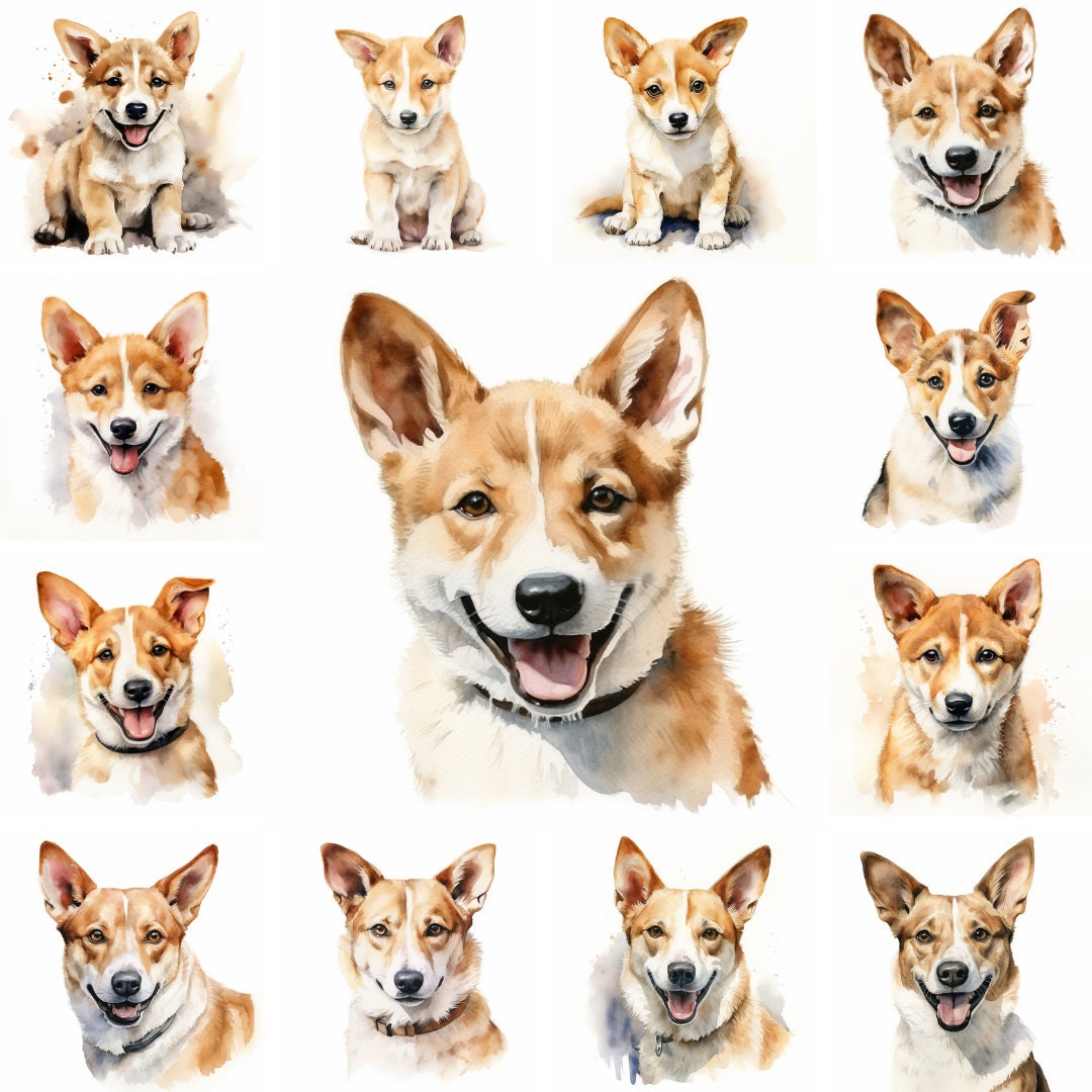20 Canaan Dog and Puppy Watercolor Clipart PNG Images, Canaan Puppy ...