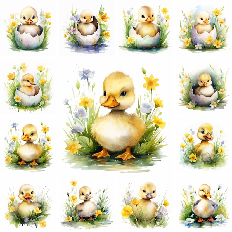 20 Baby Duck Watercolor Clipart PNG Images, Easter Baby Duck PNG, Baby ...