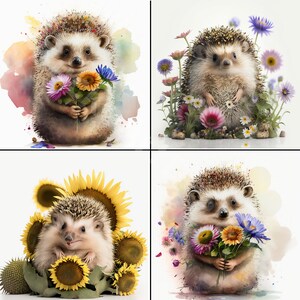Cute Hedgehogs Clipart - 15 High Quality PNG Images Digital Download ...