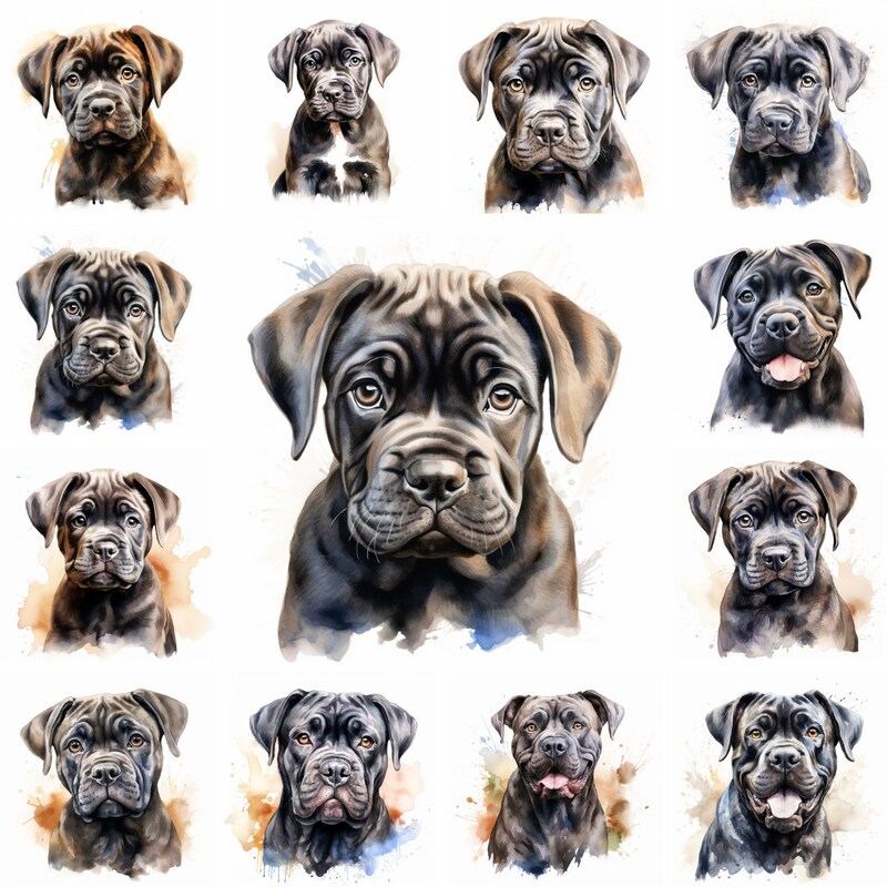 Cane Corso Png - Etsy