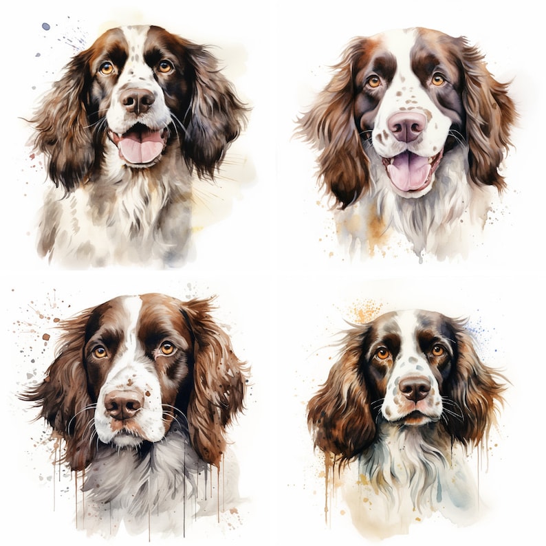 20 English Springer Spaniel Dog and Puppy Watercolor Clipart PNG Images ...