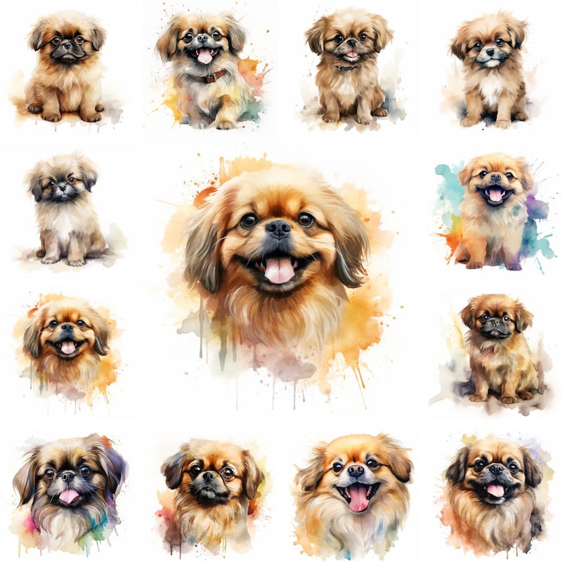 Watercolor Pekingese Clipart - Etsy