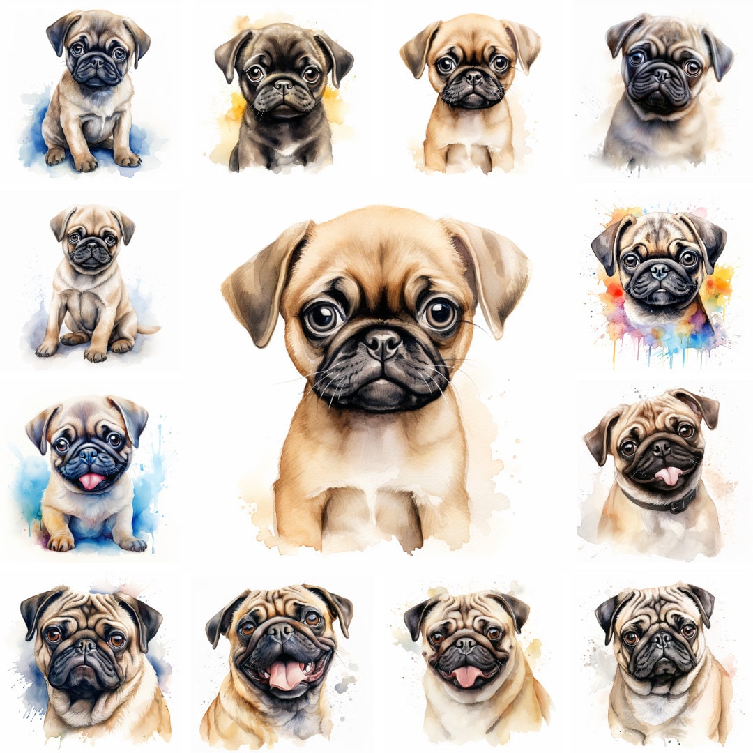 20 Pug Dog and Puppy Watercolor Clipart PNG Images, Pug Puppy, Pug ...