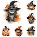 50 Cute Halloween Cats High Quality PNG Images, Halloween Kitten ...