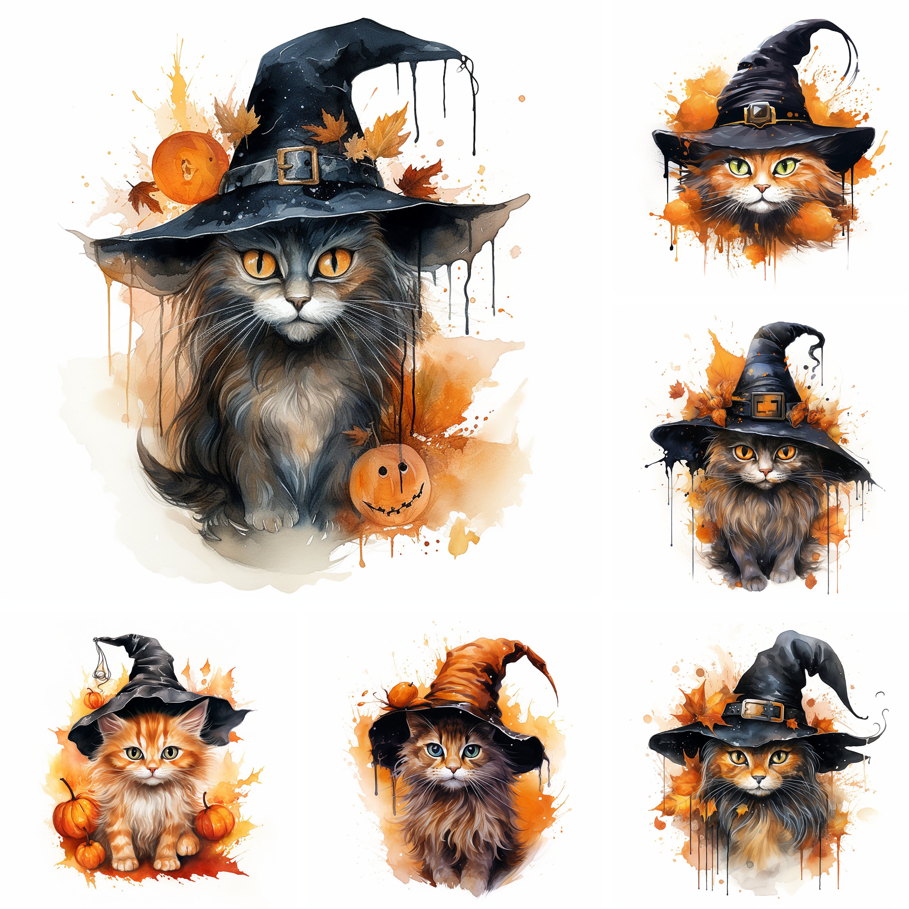 50 Cute Halloween Cats High Quality PNG Images, Halloween Kitten ...