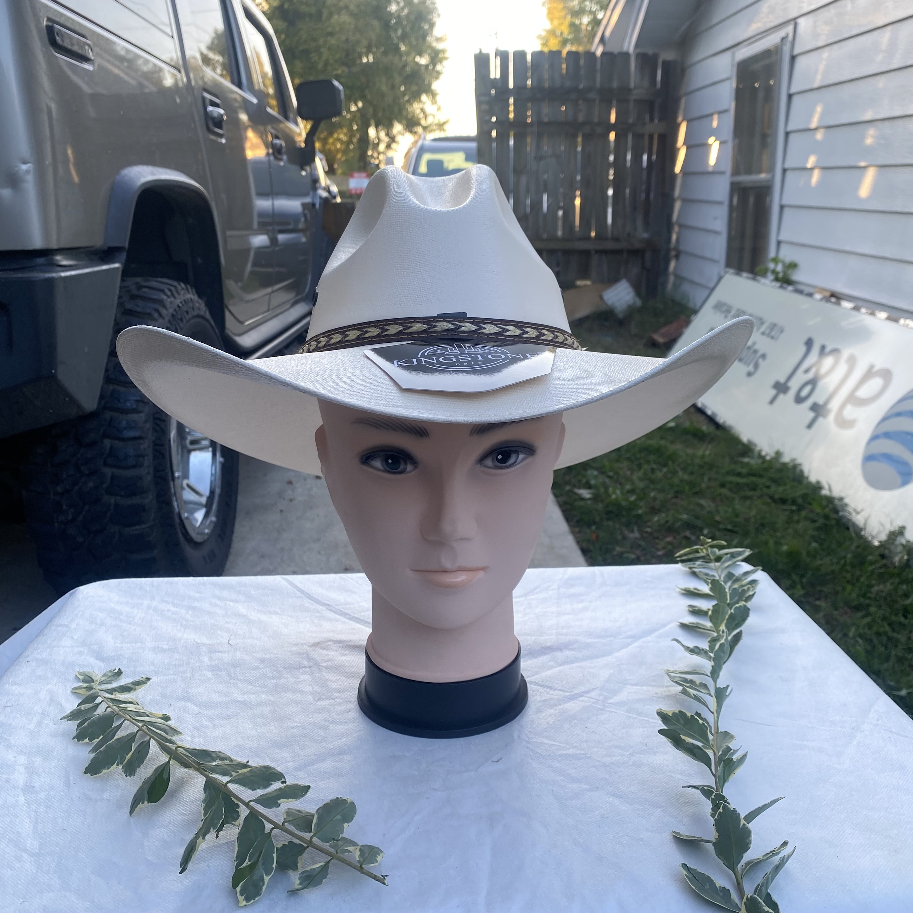 Mens Rodeo Cowboy Hat. Mens Western Cowboy Hat. Wide Brim Cowboy ...