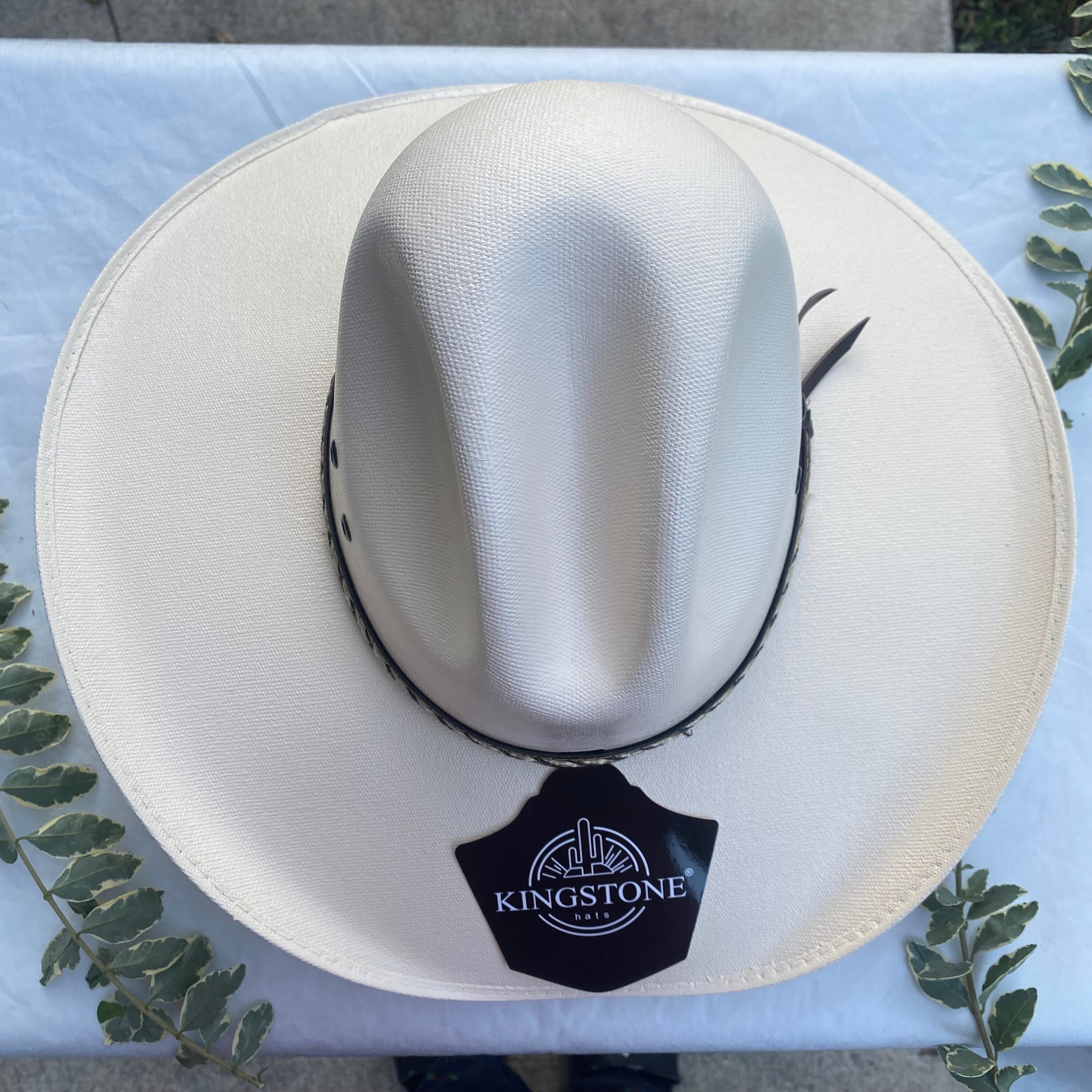 Mens Rodeo Cowboy Hat. Mens Western Cowboy Hat. Wide Brim Cowboy ...