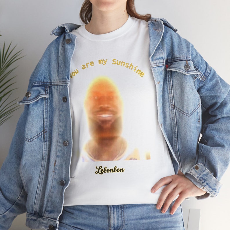Lebonbon Meme T-shirt, You Are My Sunshine Tshirt, Humor, Meme Tshirt ...