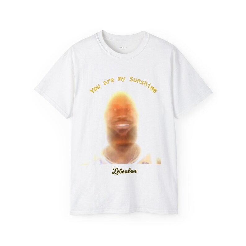 Lebonbon Meme T-shirt, You Are My Sunshine Tshirt, Humor, Meme Tshirt ...