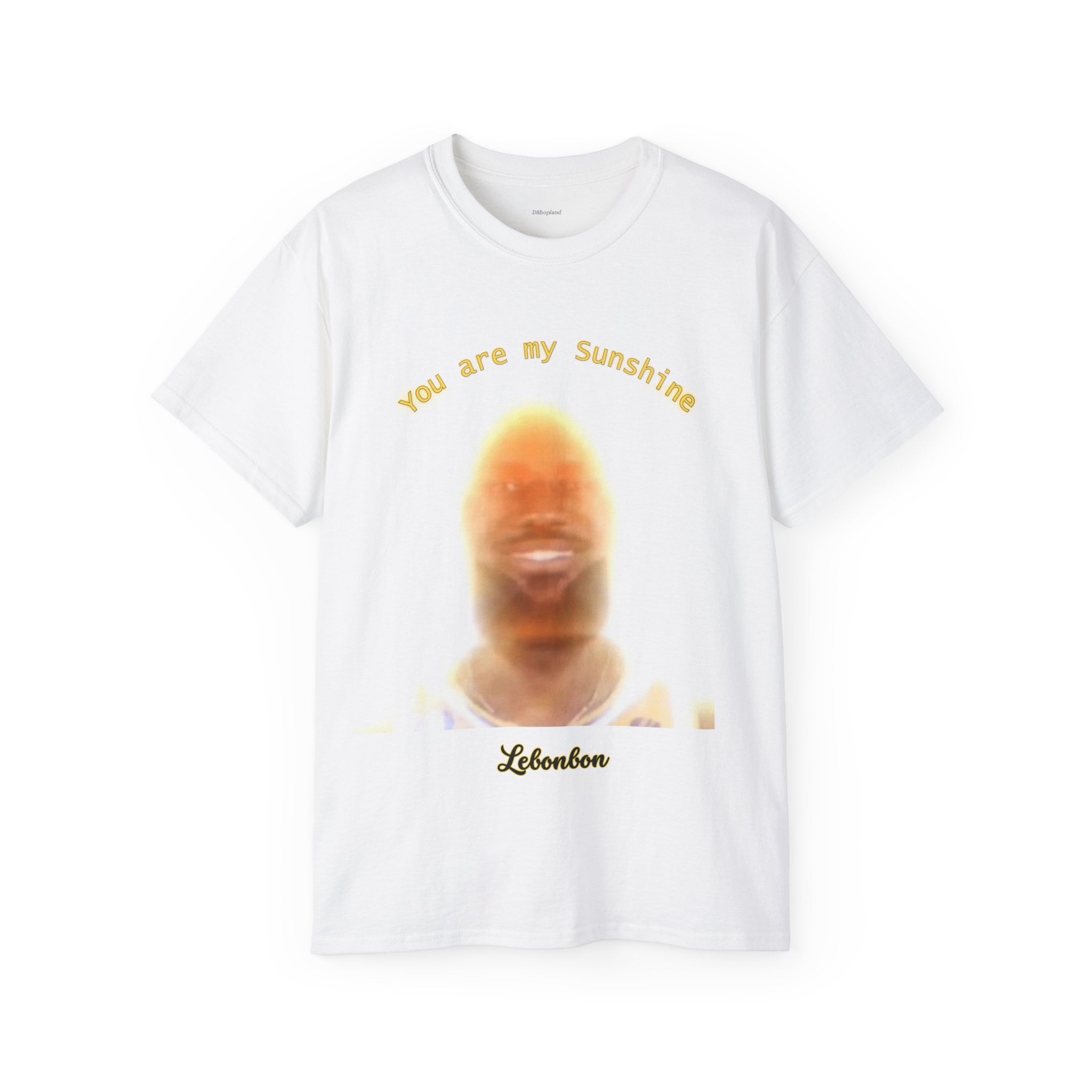Lebonbon Meme T-shirt, You Are My Sunshine Tshirt, Humor, Meme Tshirt ...