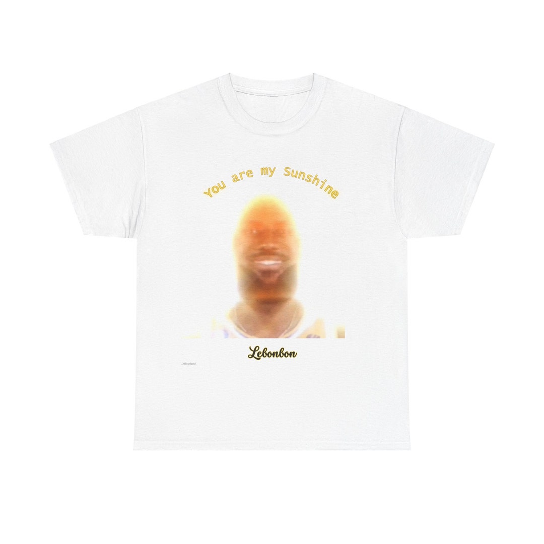 Lebonbon Meme T-shirt, You Are My Sunshine Tshirt, Humor, Meme Tshirt ...