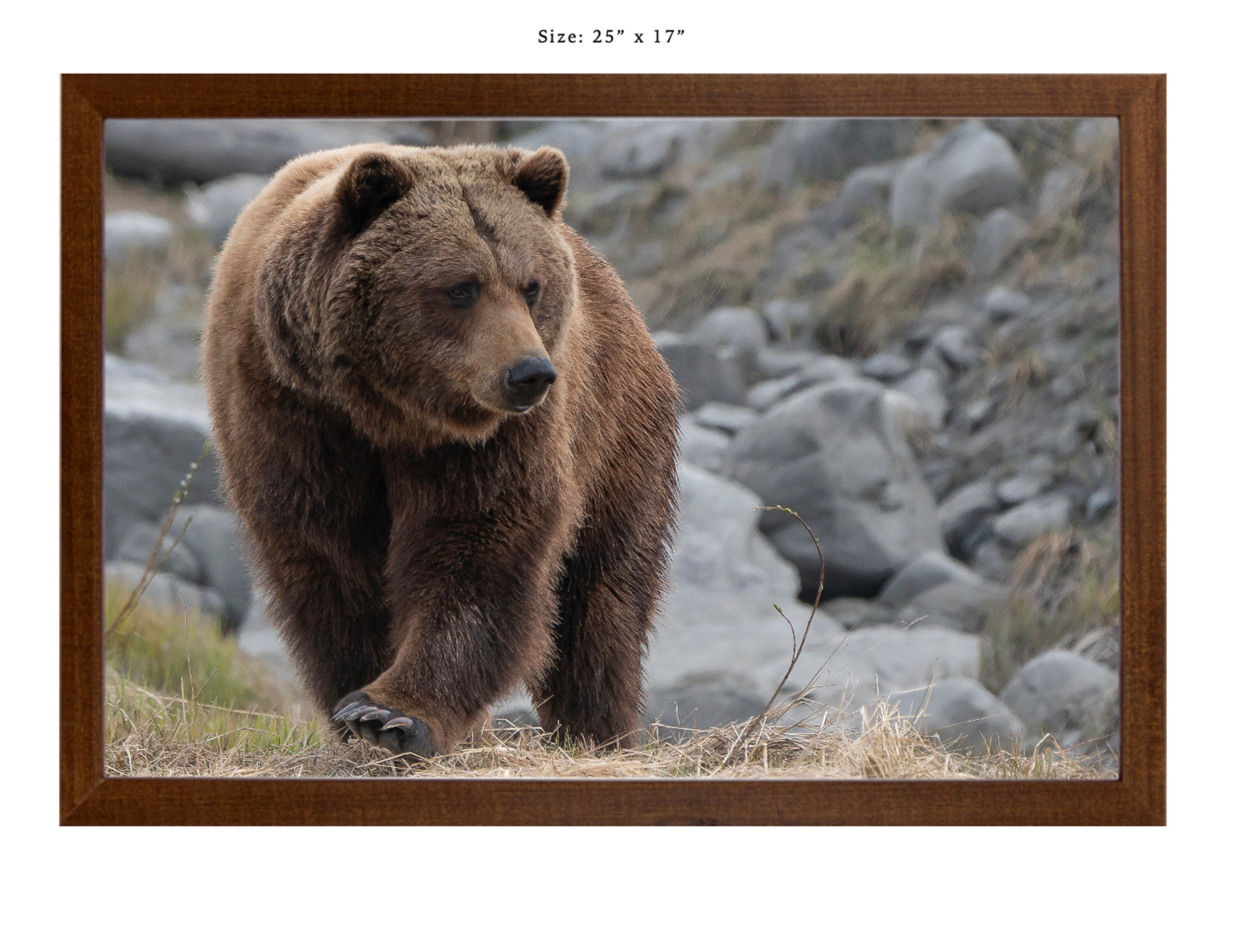 17 X 25 Poster Frame