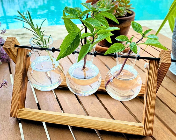 Plant Propagation Stand With Bulb Vases Multiply Your Garden Herbs - Etsy