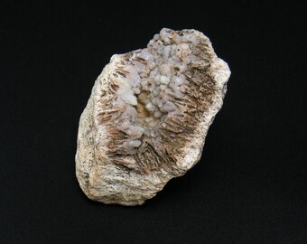 Agatized Coral Botryoidal Geode 5-25-7-24 - Etsy