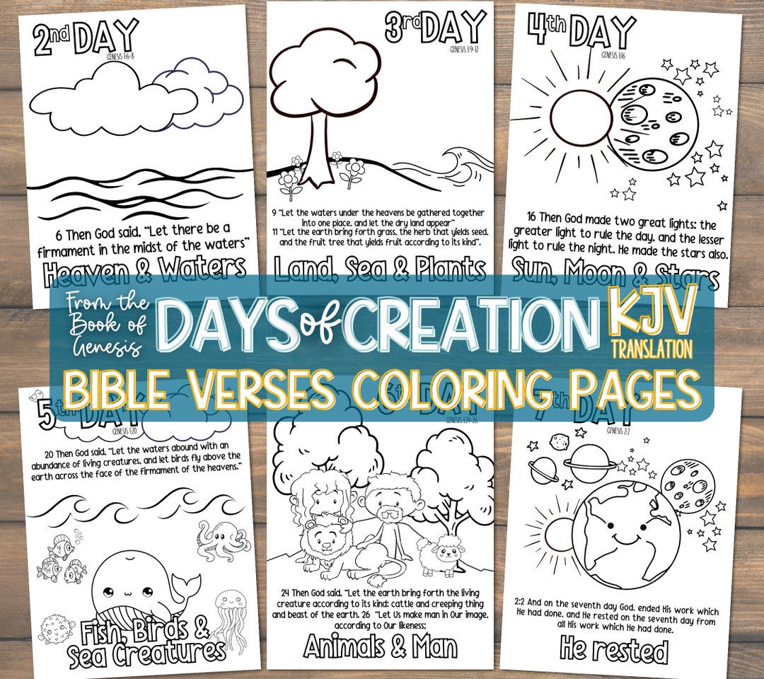 7 Days of Creation for Preschoolers Coloring Sheets | Sunday School ...